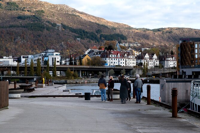 Bergen: Guided Tour by Minibus with Local Guide & Photostops - Final Thoughts