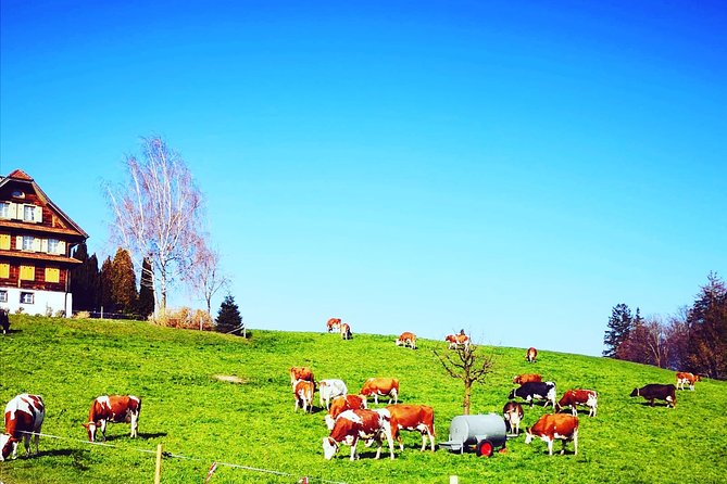 Bern and Emmental in a Day from Luzern - Who Will Love This Tour?