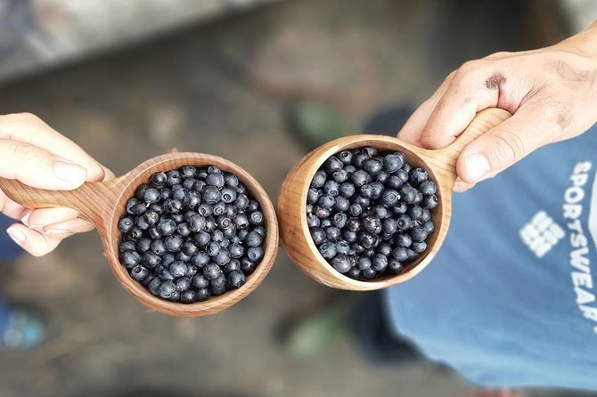 Berry Picking in a National Park - Practical Tips and Considerations