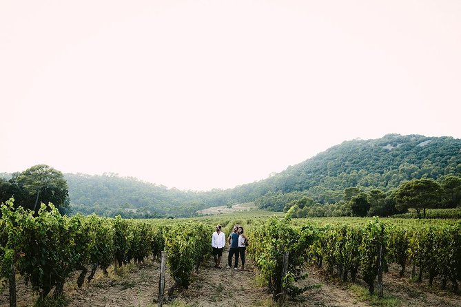 Bertrand Bosc wine and food tour in Pic St Loup - FAQ