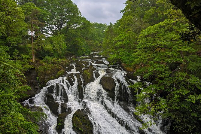 Bespoke Day Tour of North Wales - Reviews & Authentic Feedback