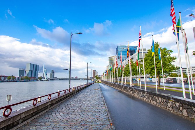 Best Intro Tour of Rotterdam with a Local - The Sum Up