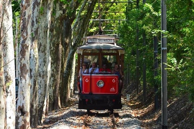 Best Of Lisbon Semi-Private Tour - FAQs