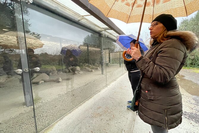 Best of Pompeii Small Group Guided Tour with Tickets - FAQ