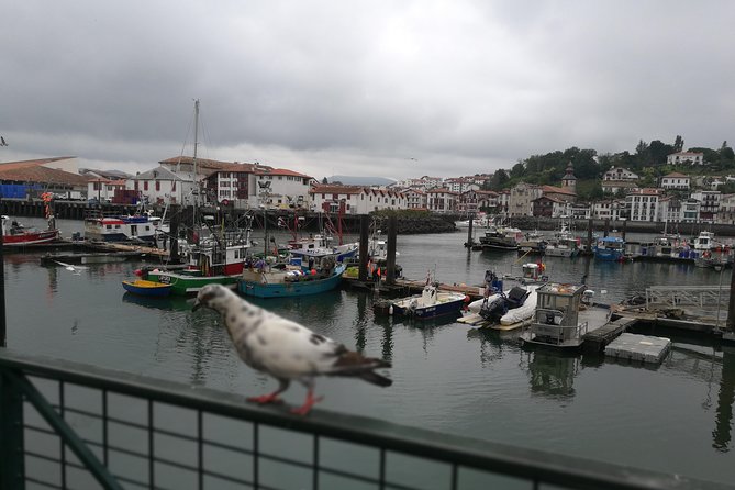 Biarritz & La Côte Basque Private tour - FAQ
