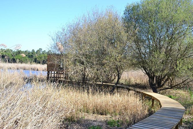 Bird Watching in Albufeira Lagoon - Final Thoughts: Who Should Consider This Tour?