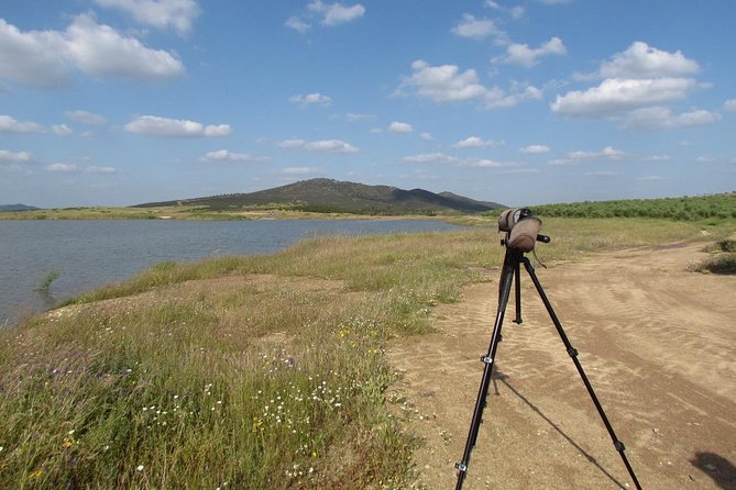 Birdwatching day around Castro Verde - Authenticity and Expert Guidance