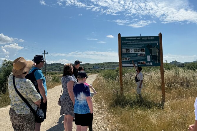 Birdwatching Experience in Narte Lagoon & Akerni Dunes - Authentic Experiences and Authenticity
