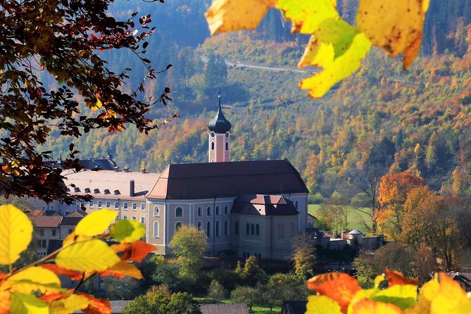 Black Forest Myths and Stories walk guided by a Local - Price and Value: Is It Worth It?