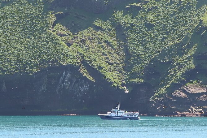 Boat Tour in Vestmannaeyjar - The Value & Who Will Love It