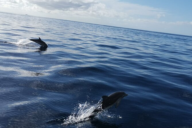 Boat trip along the Northwest Coast of La Palma - FAQ