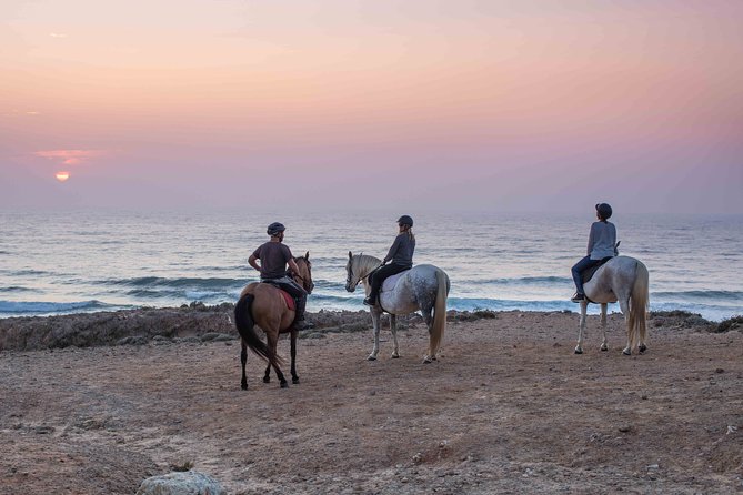 Bordeira Beach - Horse Riding Tour at Sunset - Who Will Enjoy This Tour?