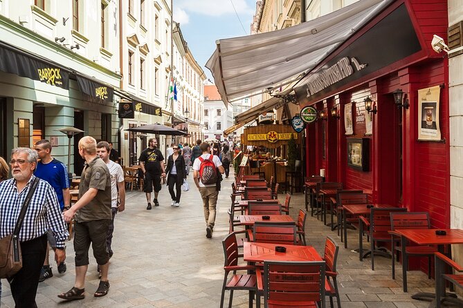 Bratislava Day Tour from Vienna With A Local Experienced Guide - Who Should Consider This Tour?