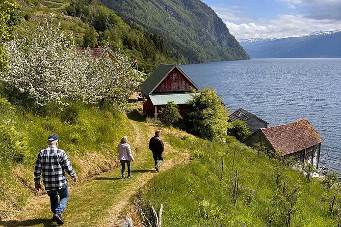 Briksdal Glacier and Loen Skylift day Excursion - Who Is This Tour Best For?
