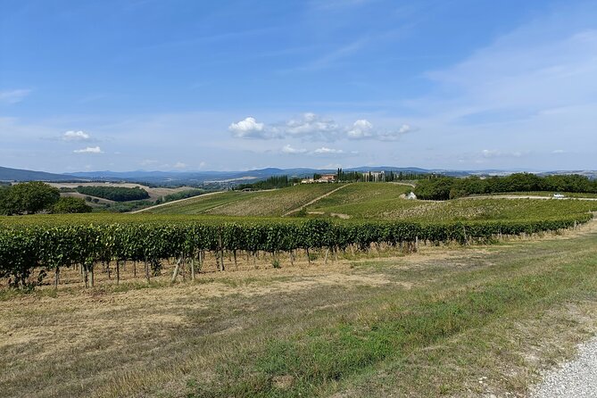 Brunello E-Bike Tour - Practical Details & What to Expect