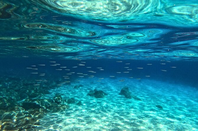 Cala Gonone Snorkeling in the Orosei Gulf - Final Thoughts