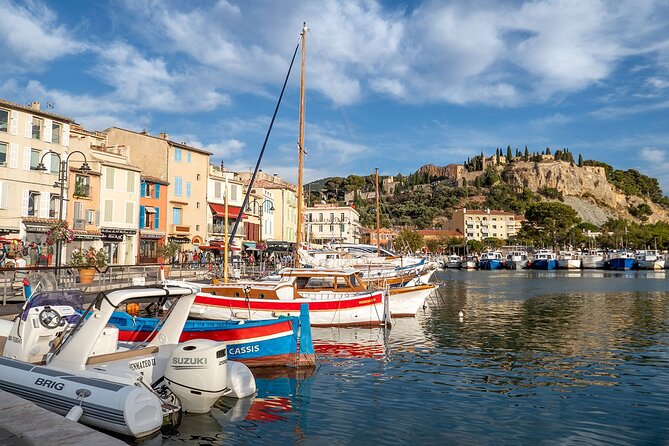 Calanques Of Cassis, the Village and Wine Tasting - Wine Tasting at Domaine Du Bagnol