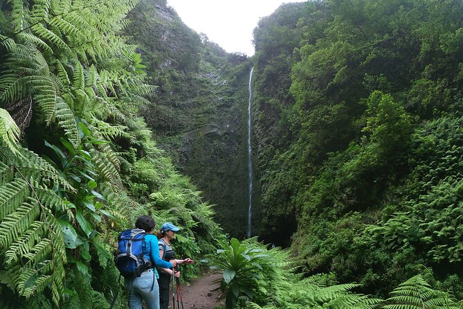Caldeirão Verde Levada (PR 9) - Guided Madeira Levada Walk - FAQ