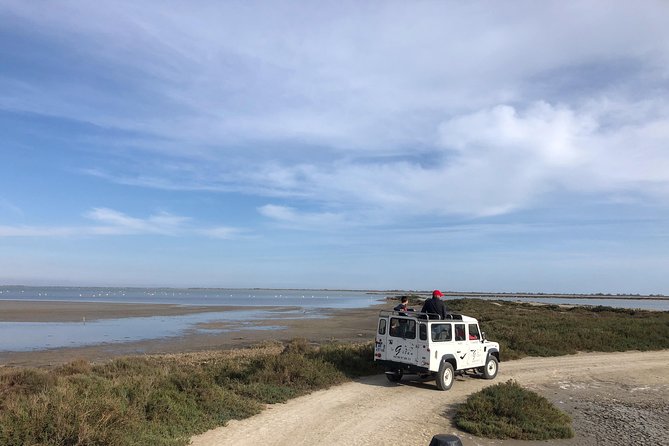 Camargue 4x4 Safari 2 hours Saintes Maries de la Mer - Pricing and Value