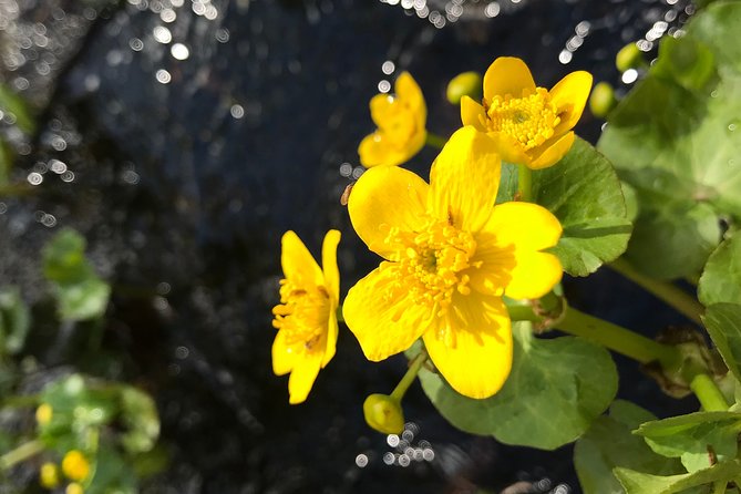Canoe Trip in Lapland - Final Thoughts: Who Is This Tour Perfect For?