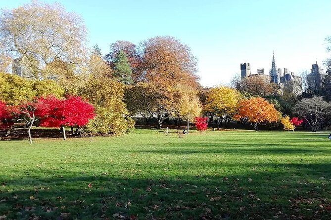 Cardiff City Private Guided Walking Tour - The Sum Up