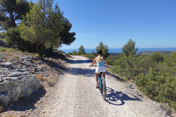Cassis National Park E-Mountain Bike Experience with Virtual Guide - Who Will Love This Tour?