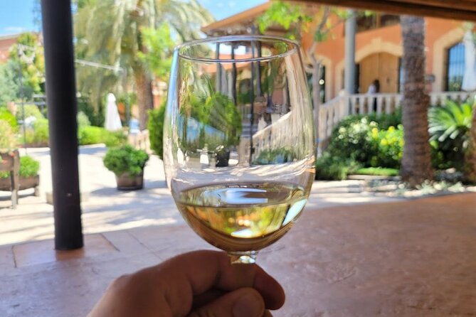 Castle Tour in Province of Alicante and Wine Tasting - Frequently Asked Questions