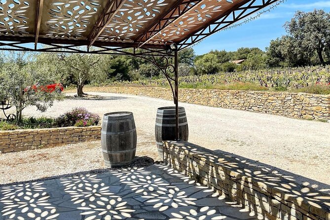 Cellar Visit & Bandol Wine Tasting (in French) - Who Should Consider This Tour?