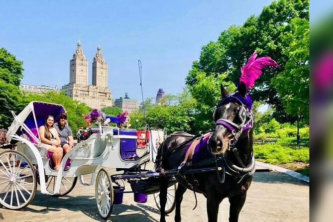 CENTRAL PARK TOUR,Central park sightseeing tours.Flexible Tours - Practical Details and Logistics