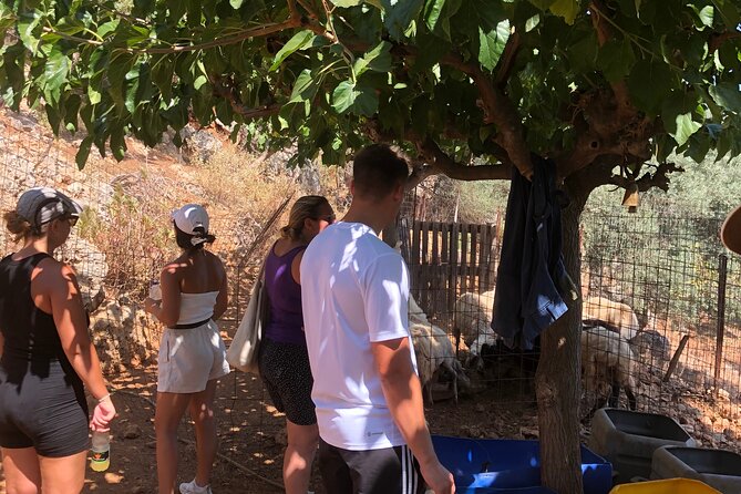 Chania Area: Cooking Class at a Farm in Stylos Village (organic) - Final Thoughts: Is This Experience for You?