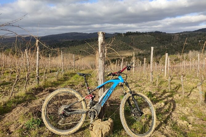 Chianti Adventure E-bike tour rental - The Value of the Experience
