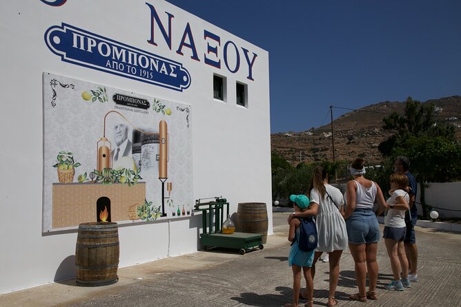 Citron Tasting and Distillery 1-Hour Guided Tour in Naxos - Who Will Love This Tour?