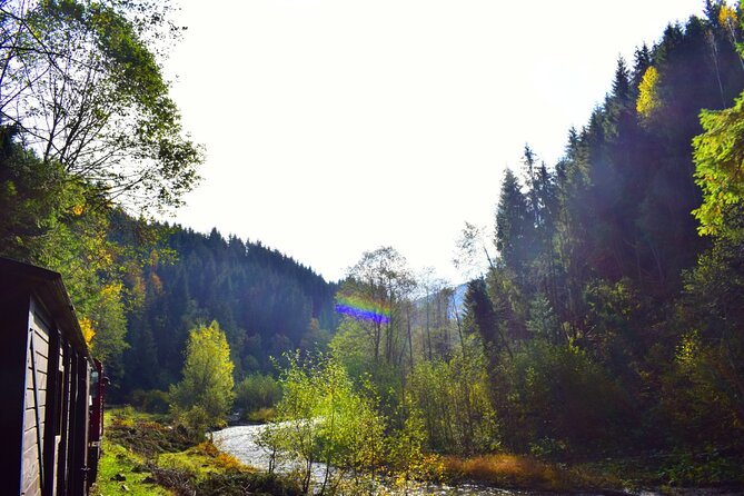 CJ03 - Day trip to Maramures Mocanita Train from Cluj Napoca - Final Thoughts: Who Will Love This Tour?