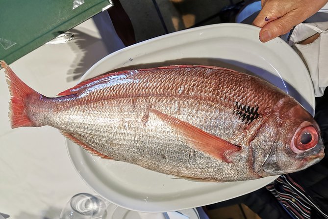 CLIFFS, GRILLED FISH and TXAKOLI WINE - Private Gastronomic Adventure - Practical Details and Value