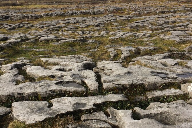 Cliffs of Moher and the Burren Private Tour - FAQs