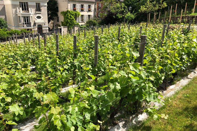 Clos Montmartre 'Paris in your Glass' Wine Tasting - The Verdict