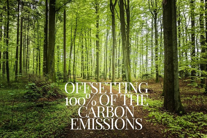 CO2-Offset Departure from Vilnius City to Vilnius VNO airport - Who Should Consider This Service?