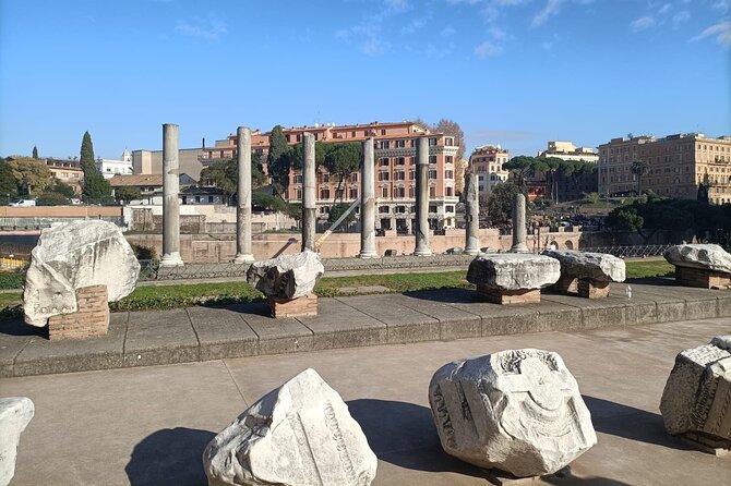 Colosseum, Roman Forum and Palatine Hill Private Tour - The Experience of the Sites