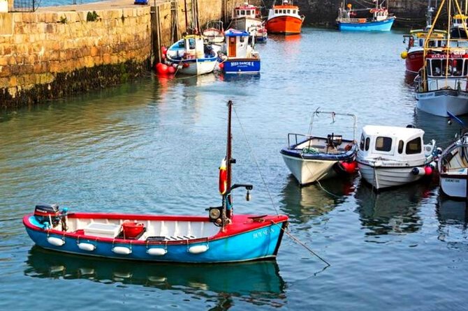 Connemara & Inishturk Island wildlife watching cruise. Private guided Full-day - The Sum Up