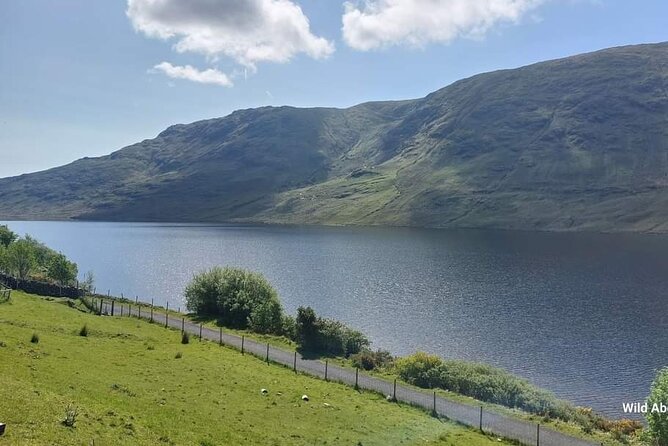 Connemara Sheep Farm experience & Kylemore Abbey by Lux Limousine - Pricing and Value