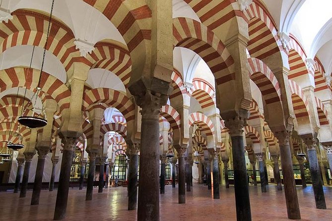 Cordoba private tour from Granada for up to 8 persons including the great Mosque - Who Is This Tour Best Suited For?
