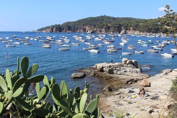 Costa Brava Typical Towns full day tour from Barcelona - Who Should Book This Tour?