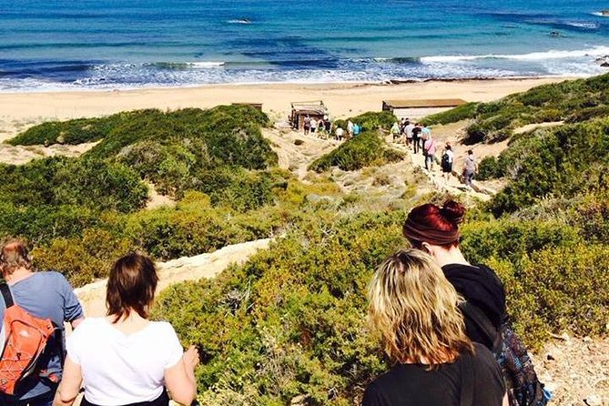 Cruise and 4X4 Safari Tour at Akamas Peninsula from Paphos - Evaluating the Value