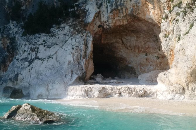 Daily sailing trip in the Orosei coves with lunch - Review Highlights and Authentic Feedback