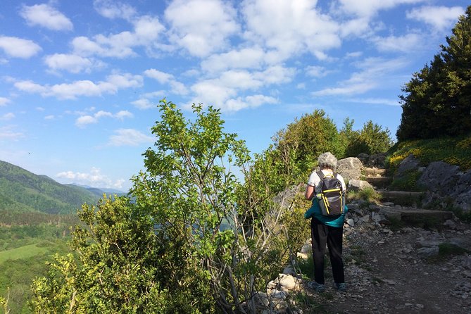 Day Tour to Mirepoix, Montségur, Camon. Private tour from Carcassonne - Final Thoughts