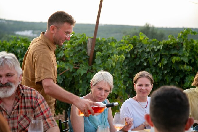 Dinner in the vineyard with wine tasting and walk - Who Will Love This Experience?