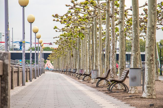 Discover Dusseldorfs most Photogenic Spots with a Local - The Sum Up
