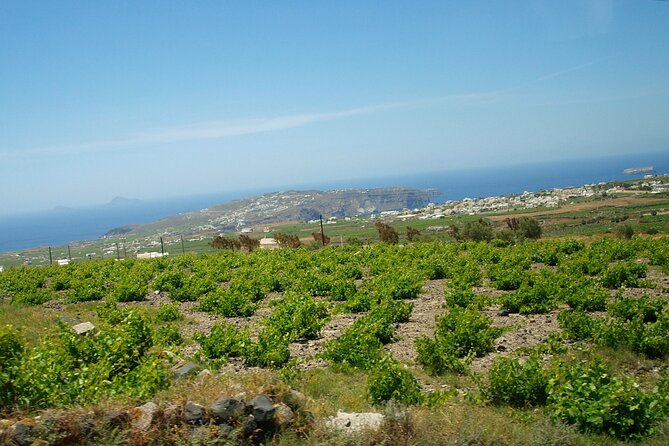 Discover Santorini - FAQ