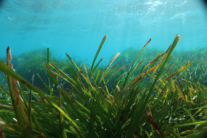 Discover Scuba Diving Amathounta's Ancient Port - Analyzing the Value of This Experience