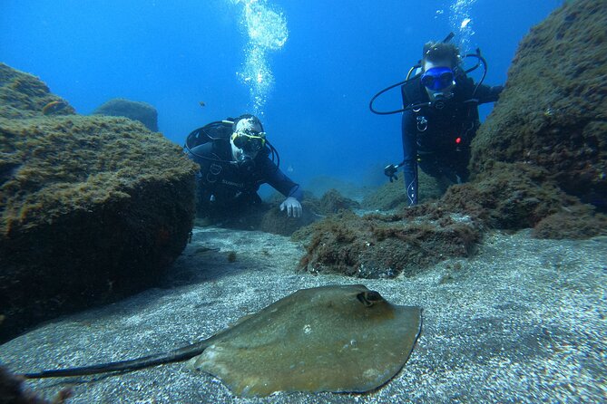 Discover Scuba Diving in Tenerife - Who Will Appreciate This Experience